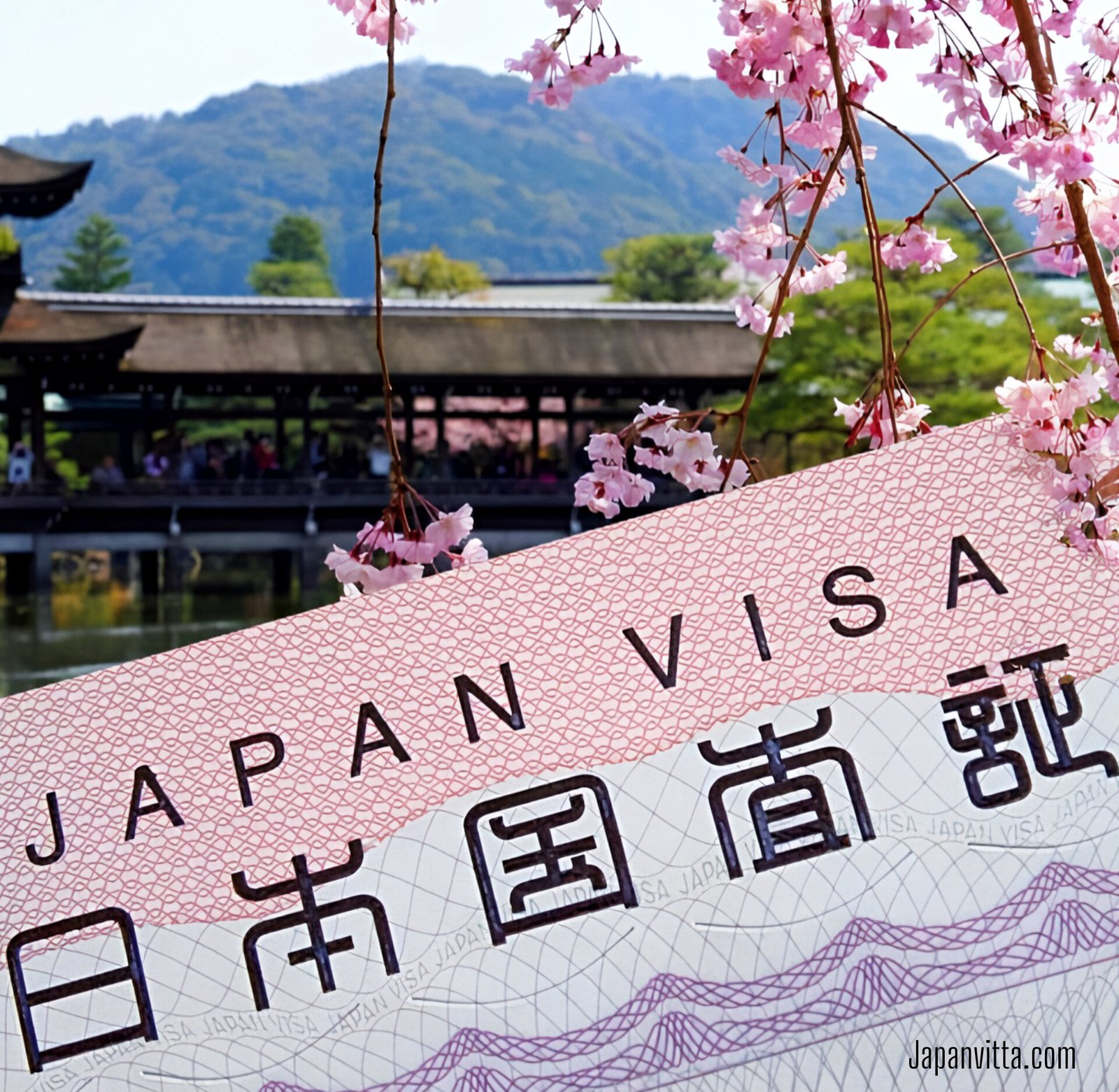 Japan Vitta | Blog
